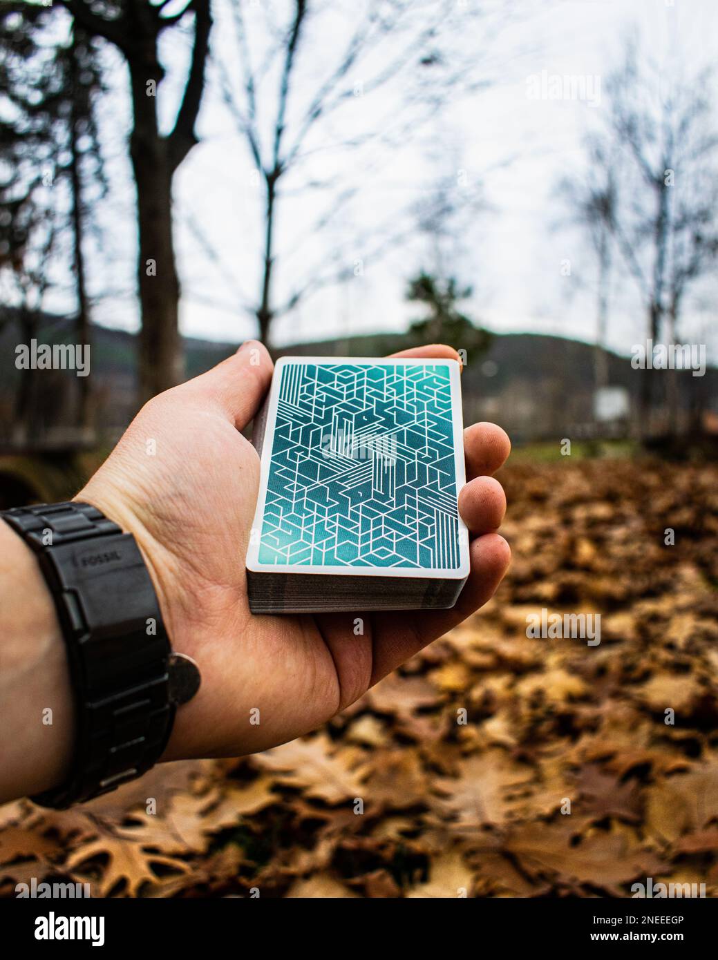 A human hand holding gaming cards Stock Photo - Alamy