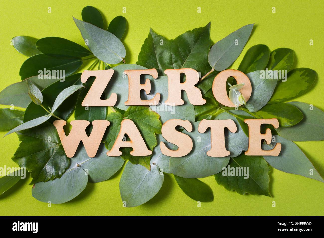 flat lay arrangement zero waste lettering. High resolution photo Stock ...