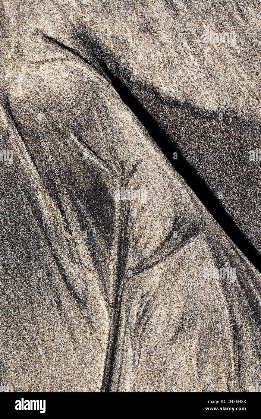 Details on the beach, sand tracks, Portugal Stock Photo - Alamy