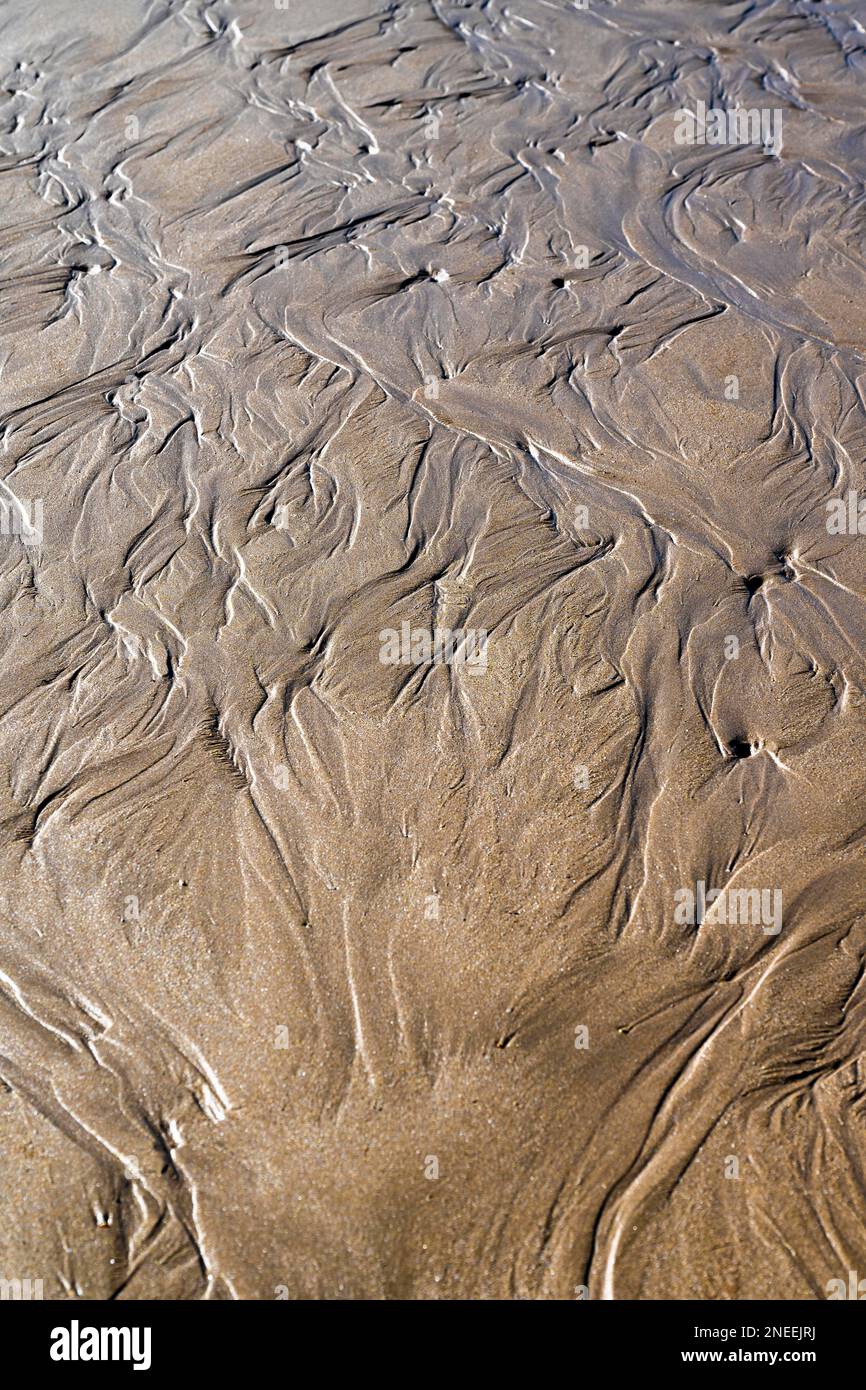 Details on the beach, sand tracks, Portugal Stock Photo - Alamy