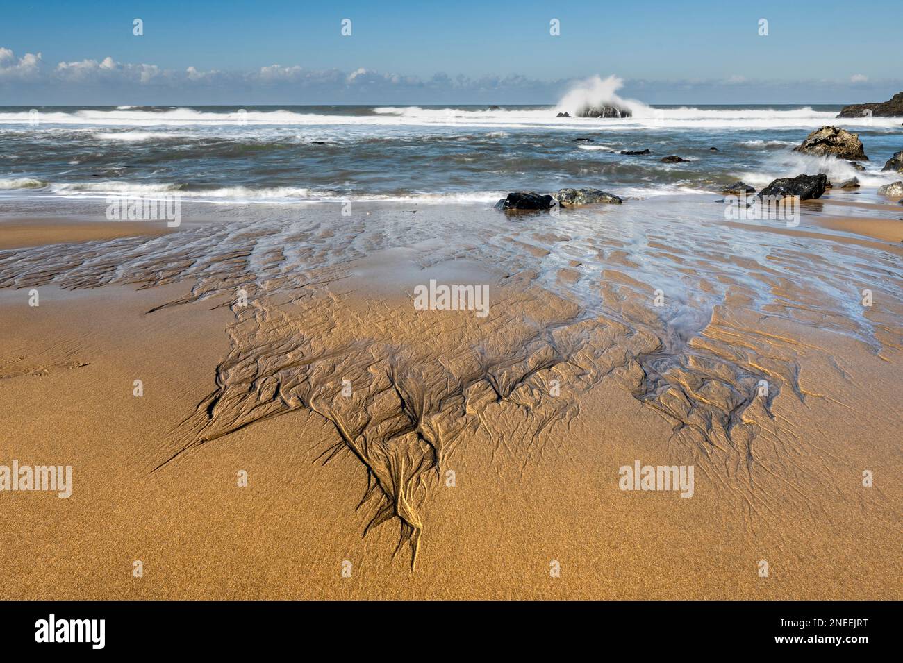 Details on the beach, sand tracks, Portugal Stock Photo - Alamy