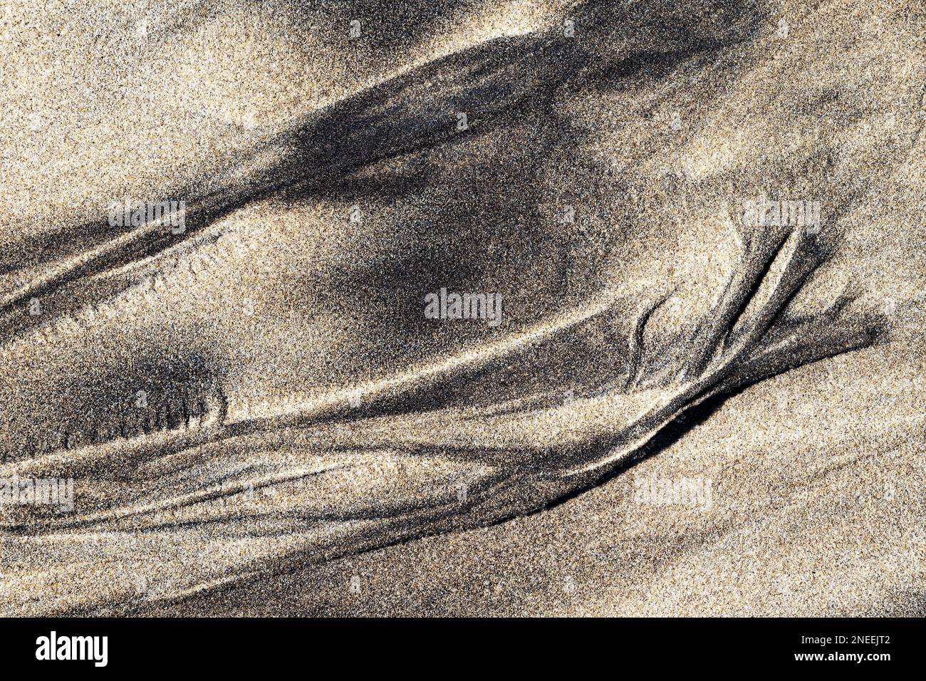 Details on the beach, sand tracks, Portugal Stock Photo - Alamy