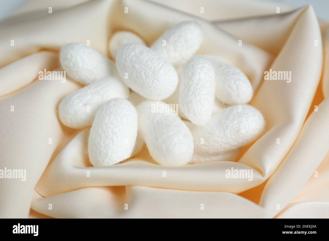 Caterpillar silk cloth hi-res stock photography and images - Alamy