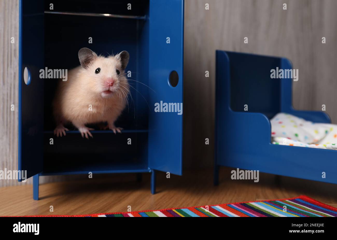 Adorable hamster inside tiny wardrobe in room with toy furniture Stock ...