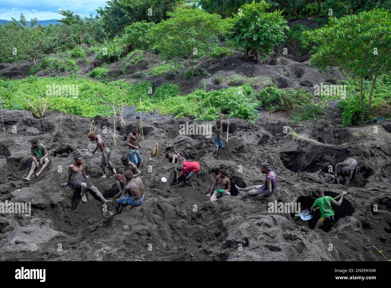 Egg collectors dig at the foot of the still active volcano Mount ...