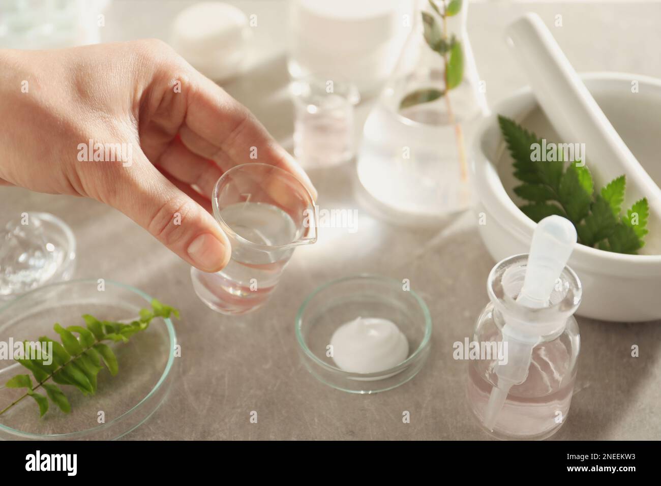 Scientist making cosmetic product at grey table, closeup Stock Photo ...