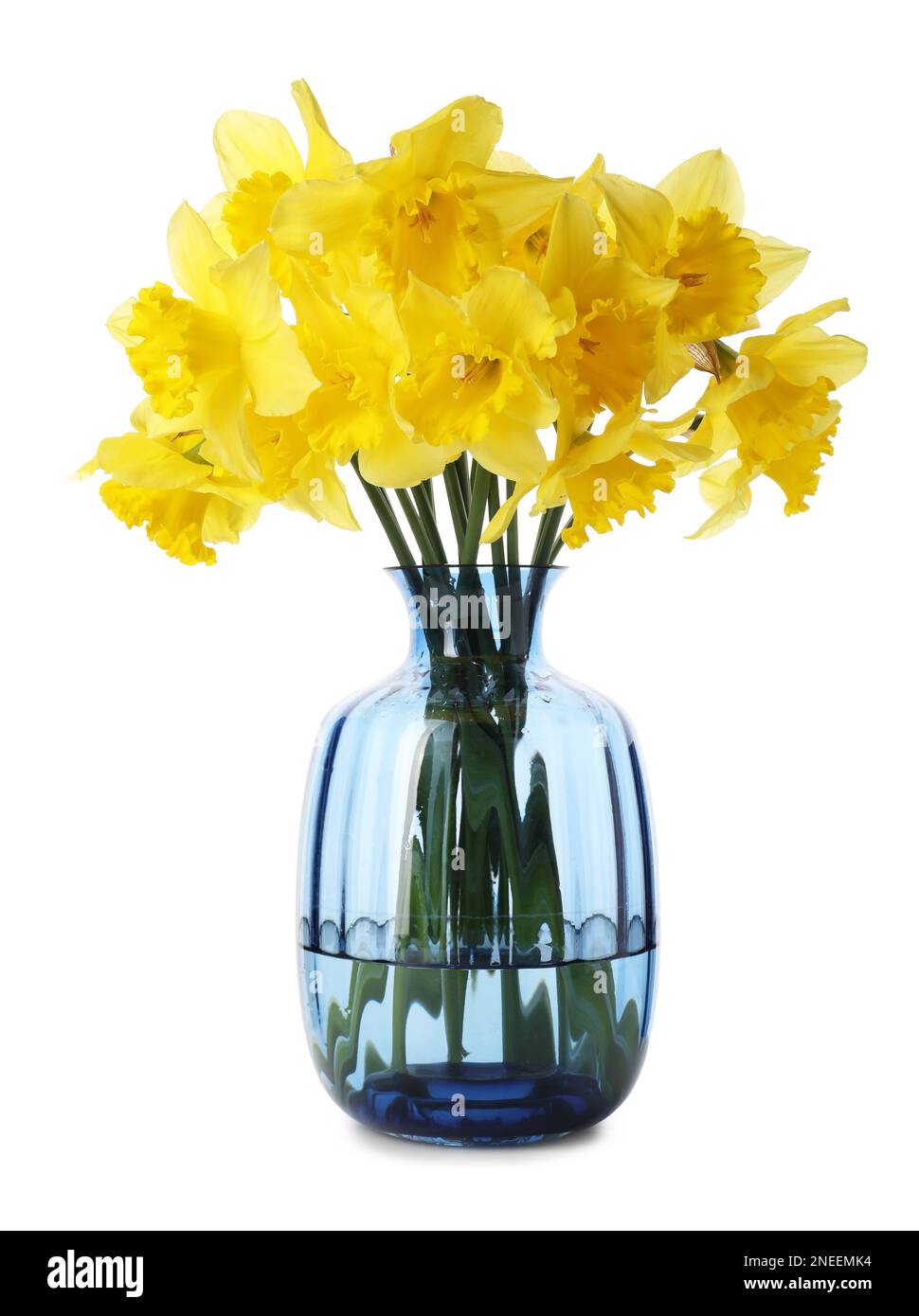 Daffodils in vase hi-res stock photography and images - Alamy
