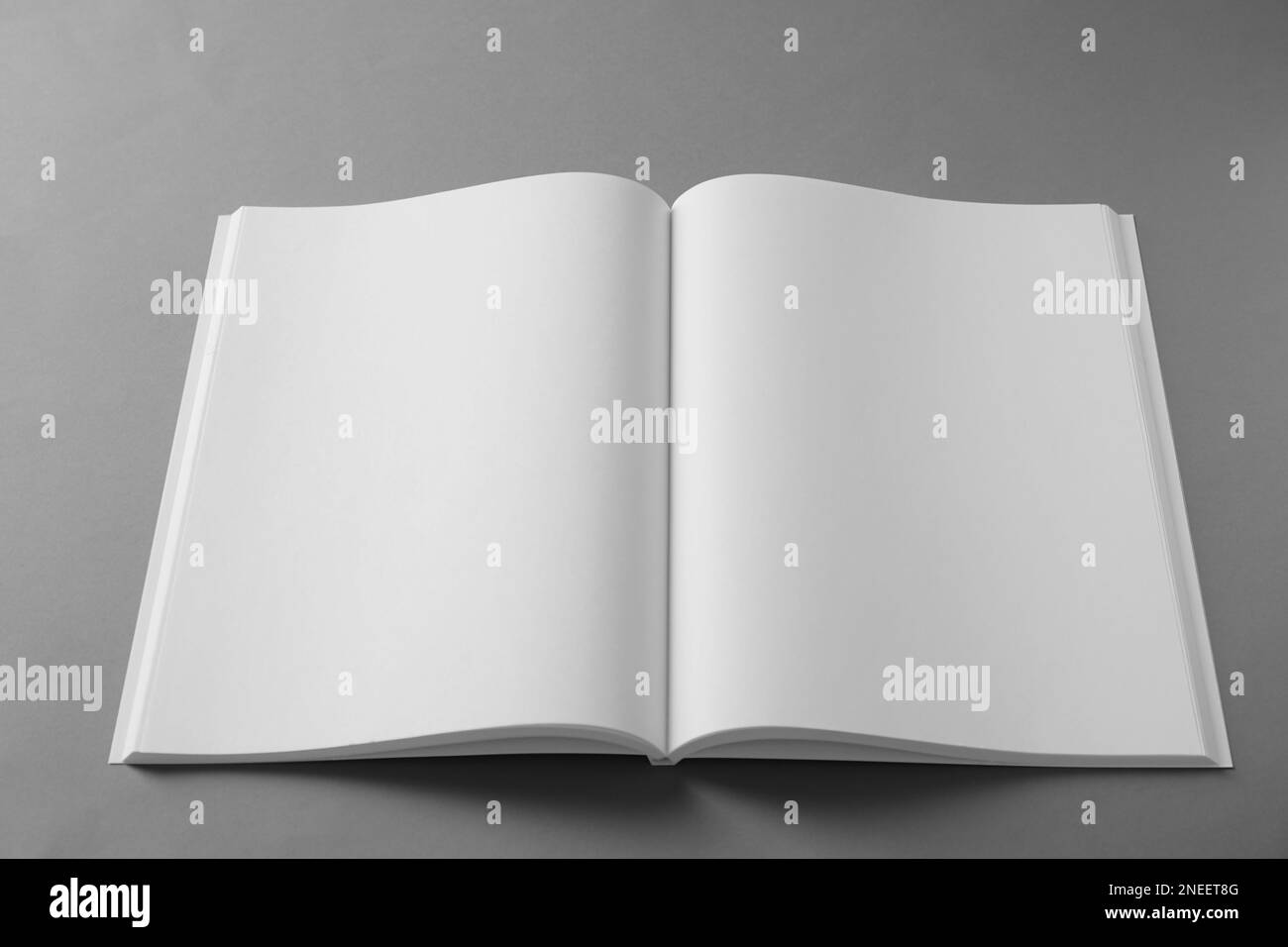 Open blank brochure on light grey background Stock Photo - Alamy
