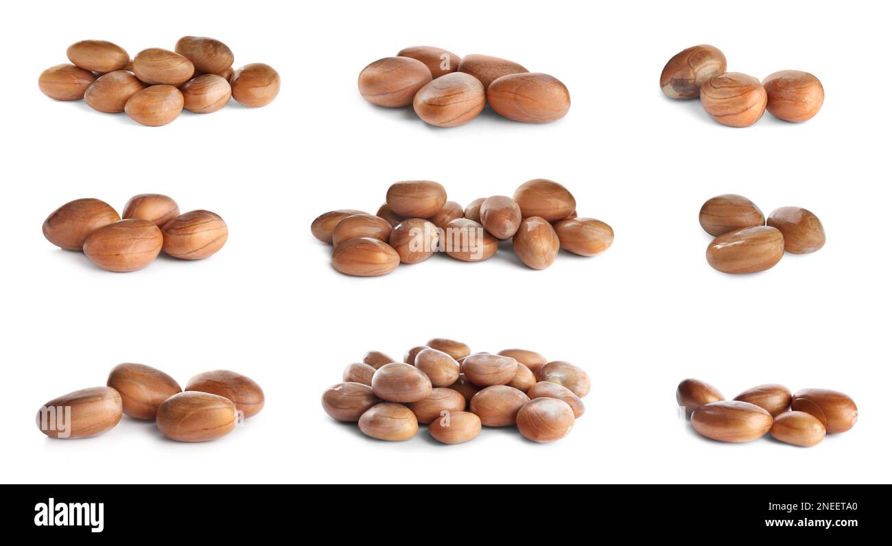 Set with jackfruit seeds on white background. Banner design Stock Photo ...