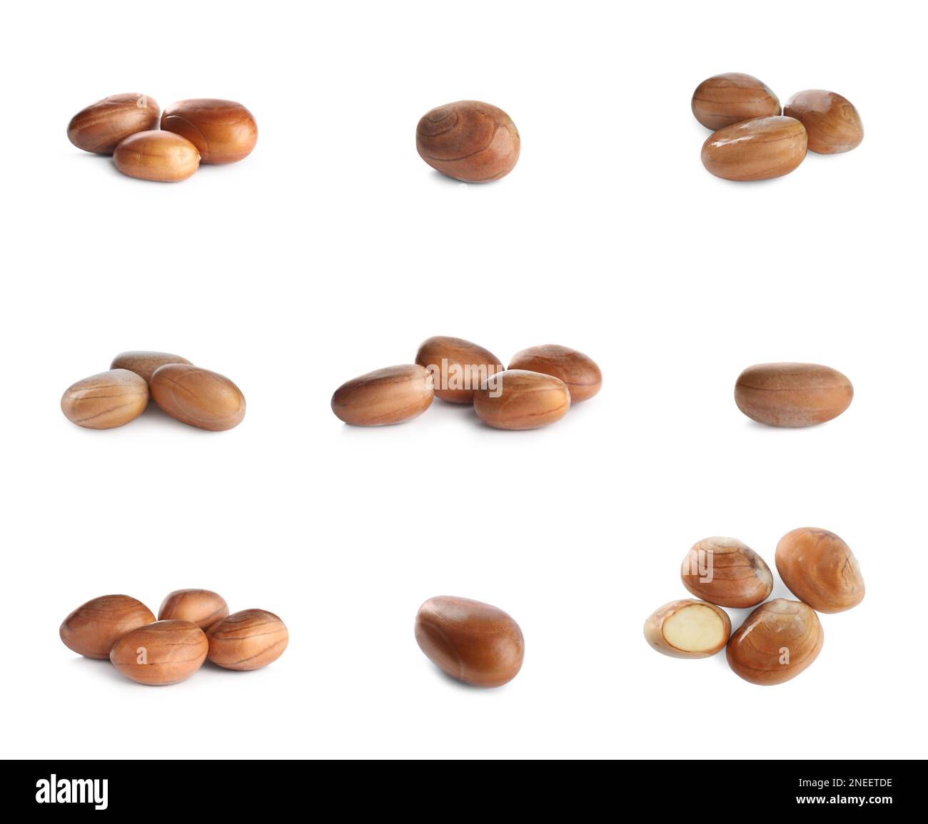 Set with jackfruit seeds on white background Stock Photo - Alamy