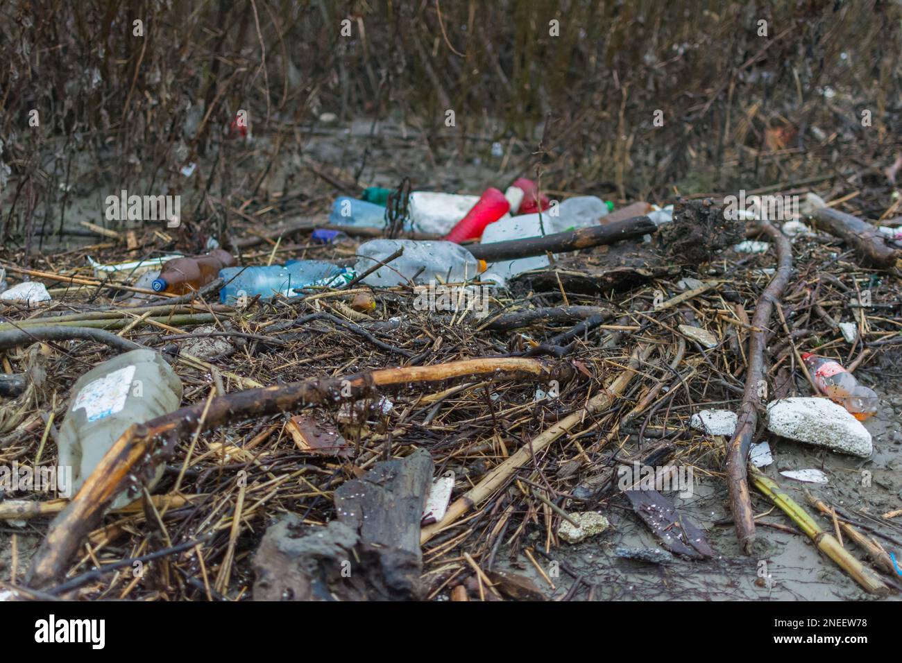 Plastic polution of rivers Somesul Mare and Somesul Mic from ROMANIA ...