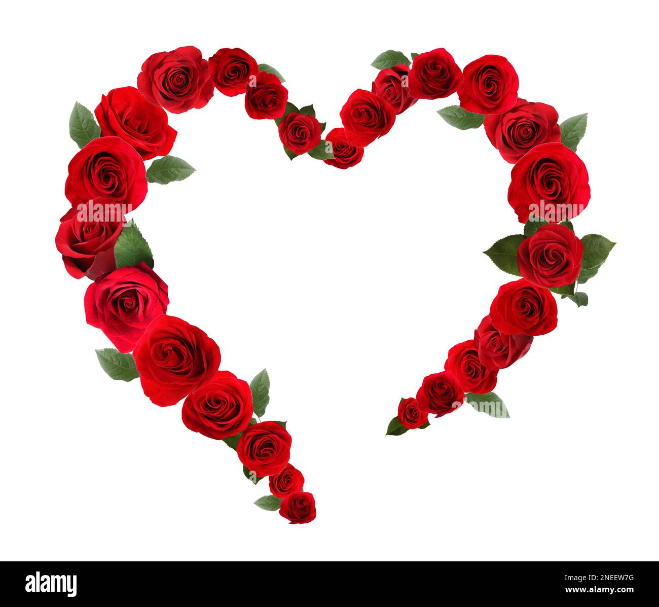 Heart made of beautiful red roses on white background Stock Photo - Alamy