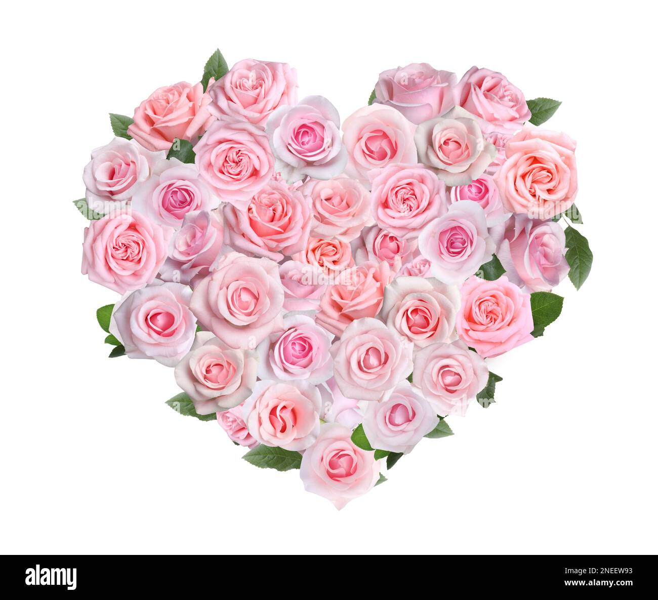 Heart made of beautiful pink roses on white background Stock Photo - Alamy