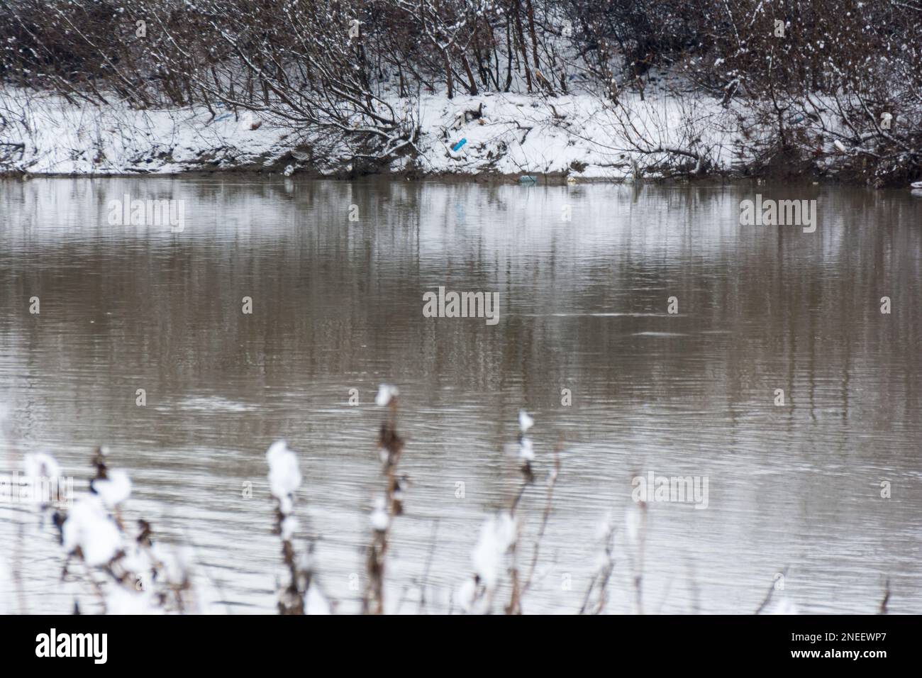 The river Somesul Mare in winter season Stock Photo - Alamy