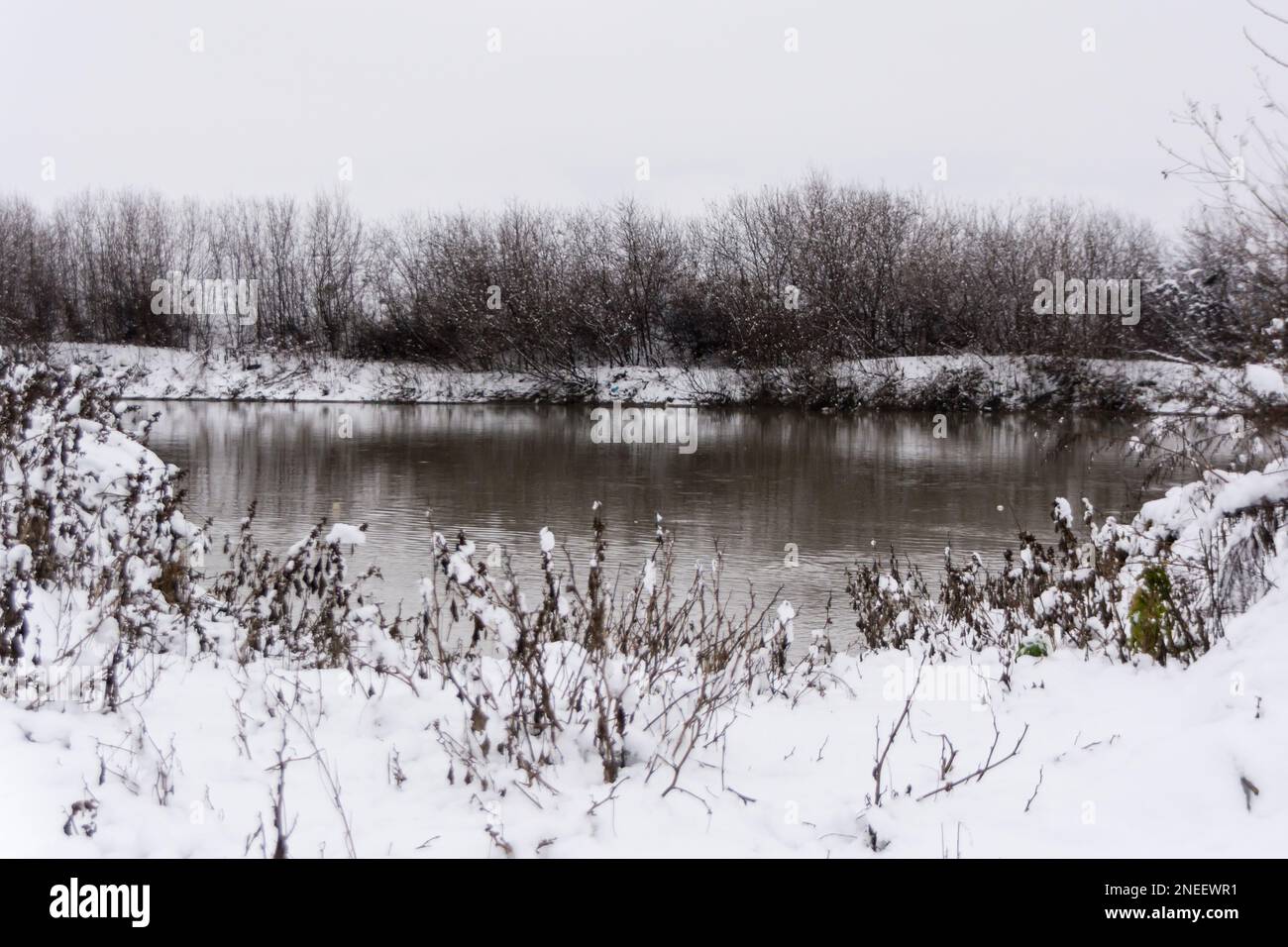 Somesul mare hi-res stock photography and images - Alamy