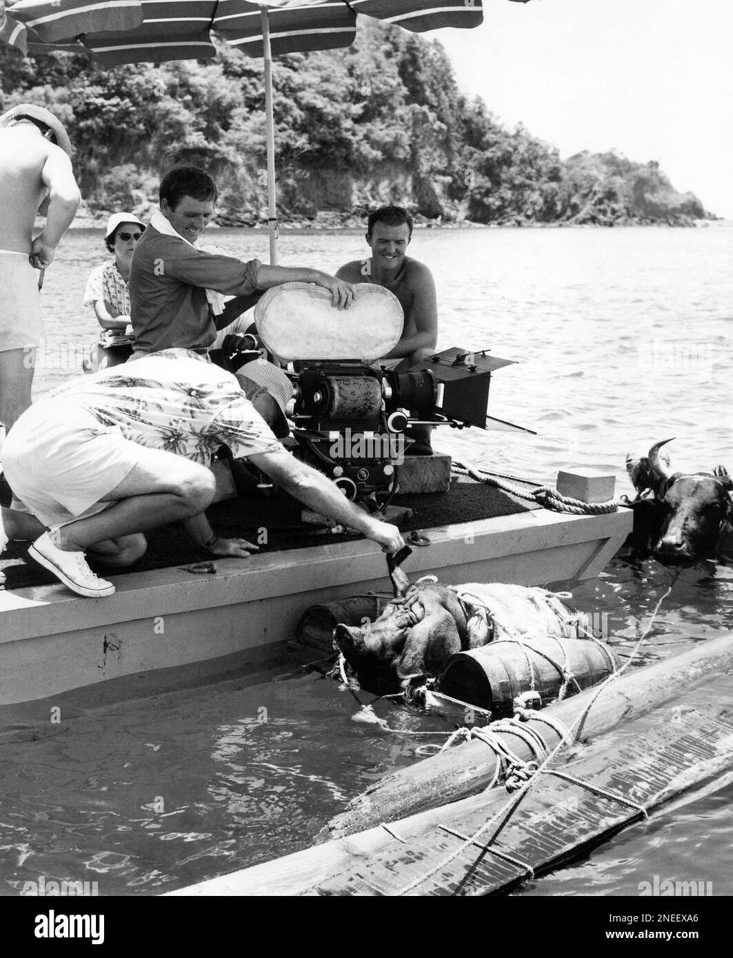 A pig is checked to see whether it will float with two barrels lashed ...