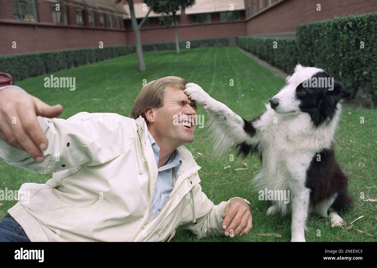 Mike, the 7-year-old Scottish border collie who plays the neurotic ...