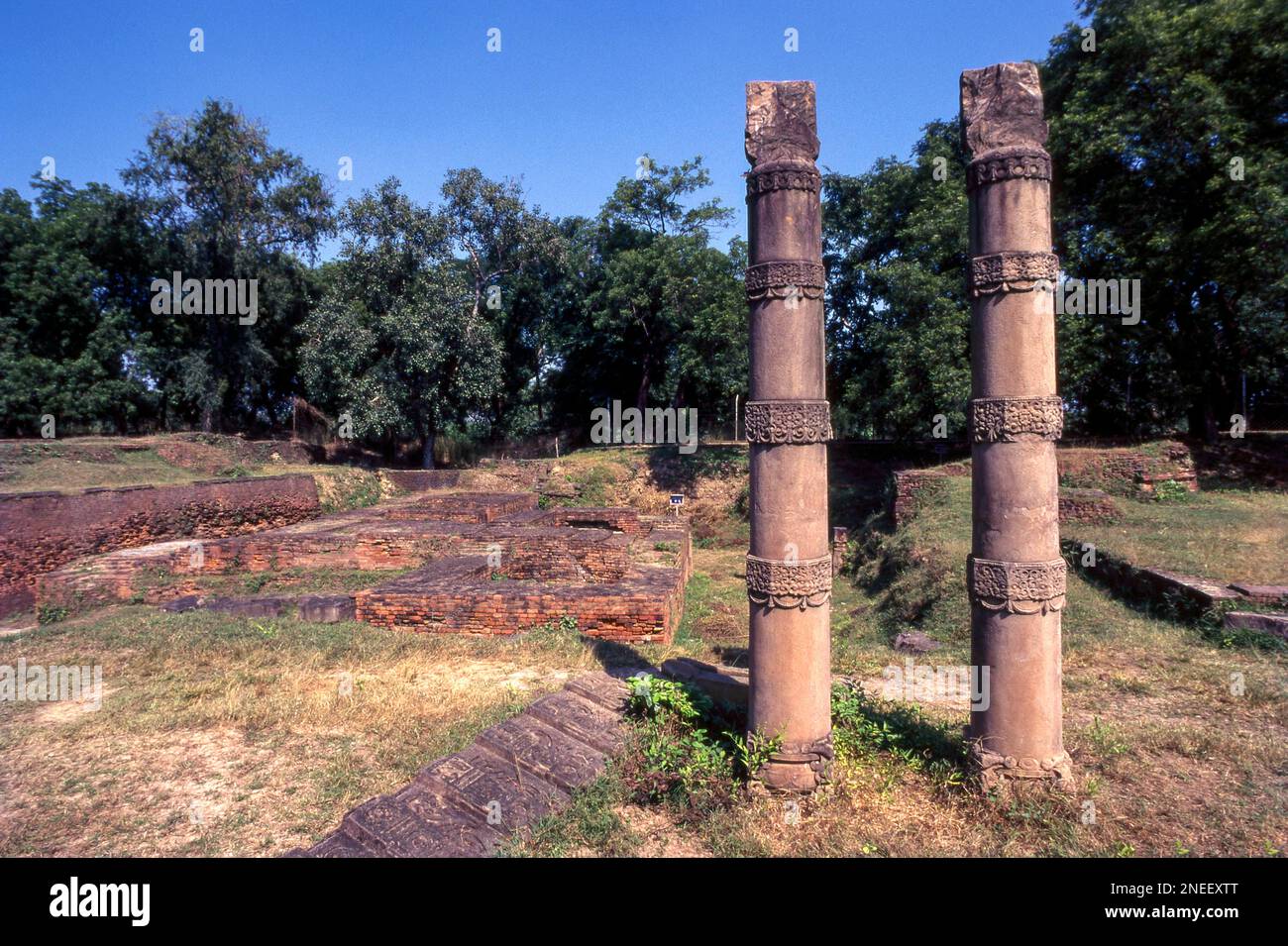 Sarnath pillar hi-res stock photography and images - Alamy
