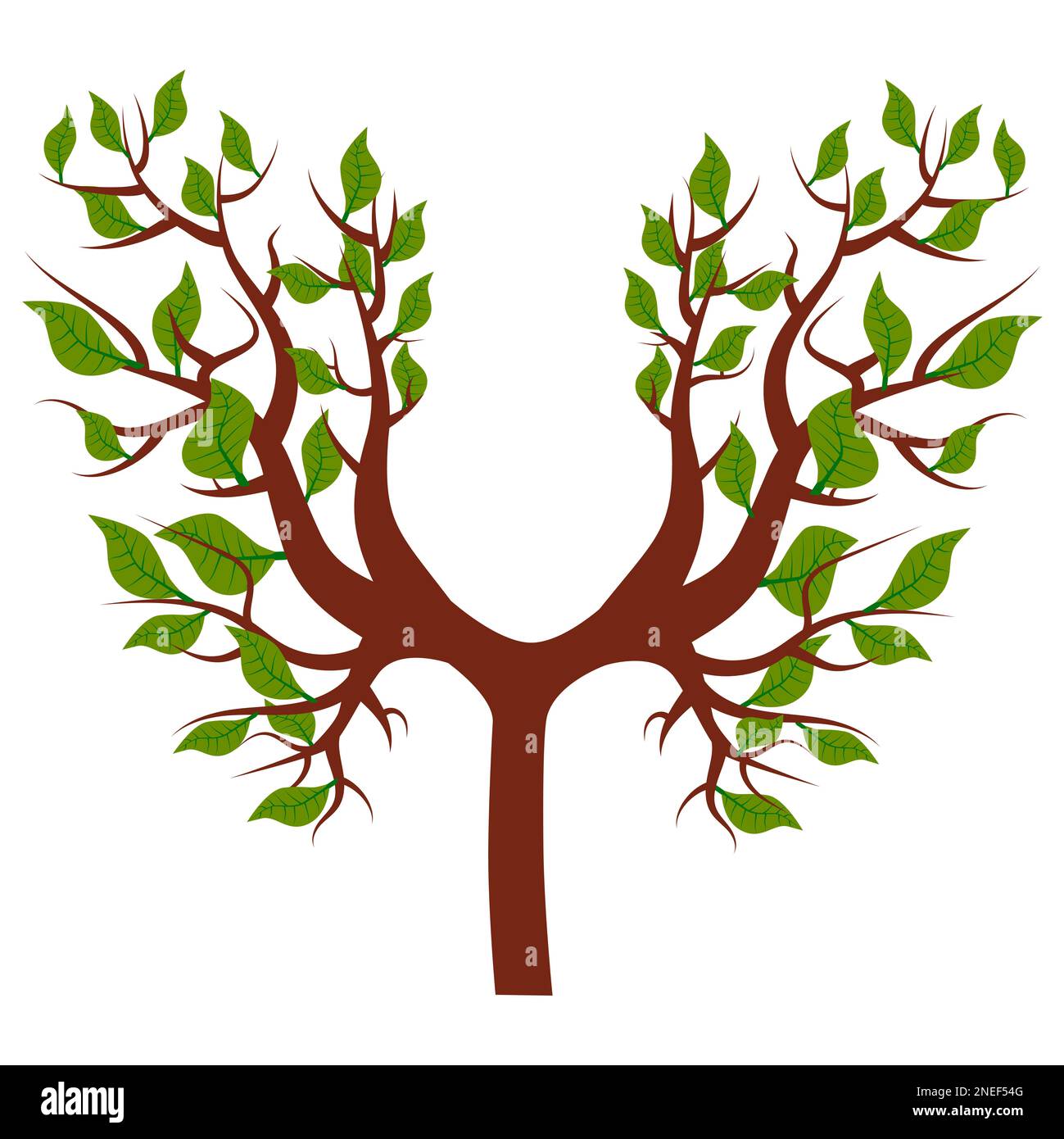 Young symmetrical tree with green leaves isolated on white. Vector ...