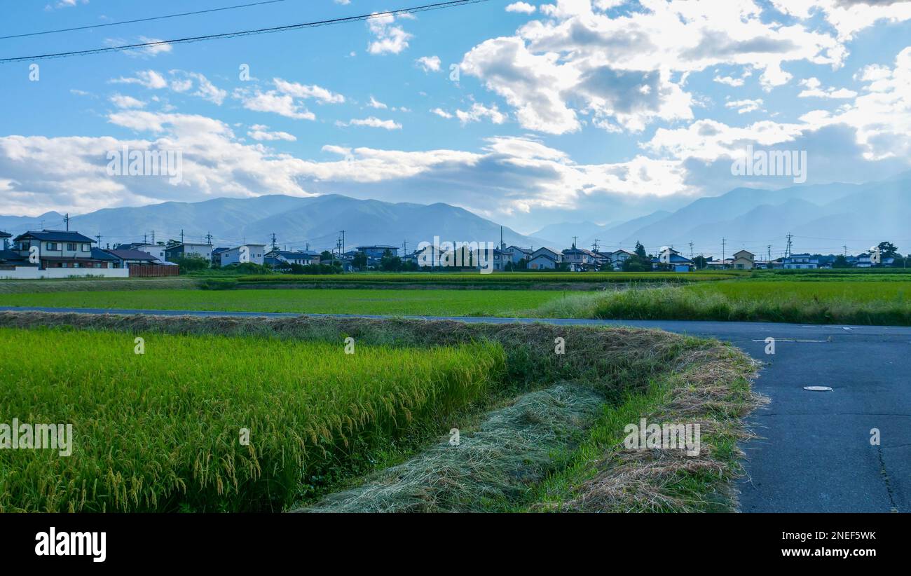 A view of the Japanese Alps and farmland in Matsumoto, Japan Stock ...