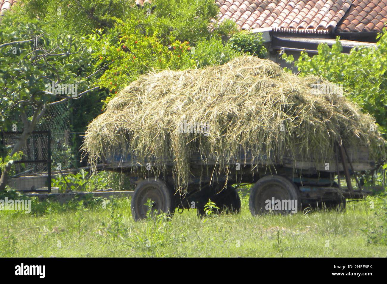 Agricoltura e Allevamento in Lombardia Stock Photo - Alamy