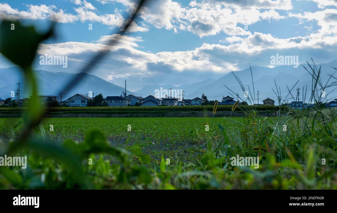 A view of the Japanese Alps and farmland in Matsumoto, Japan Stock ...