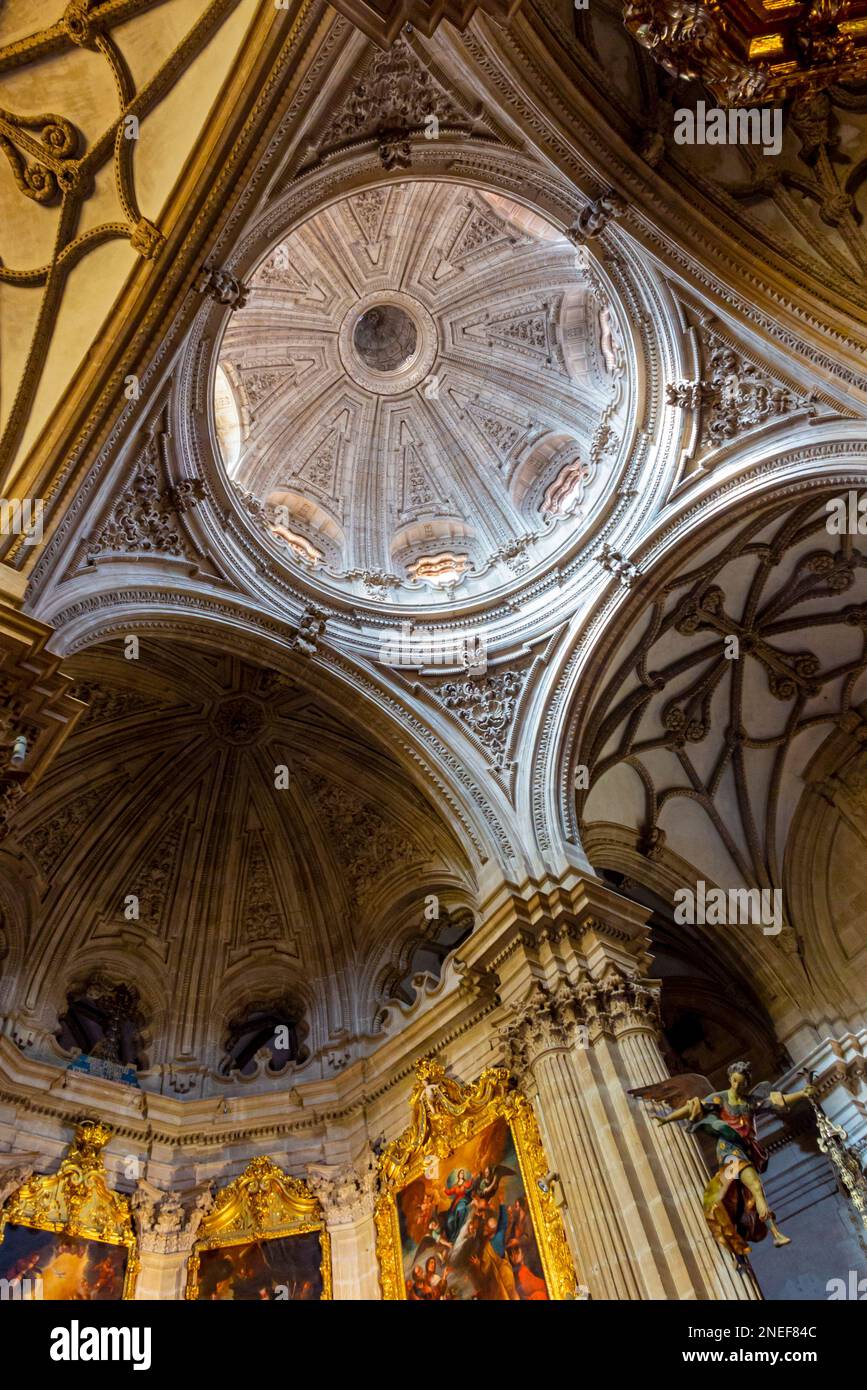 Interior of Guadix Cathedral or Cathedral of the Incarnation Catedral ...