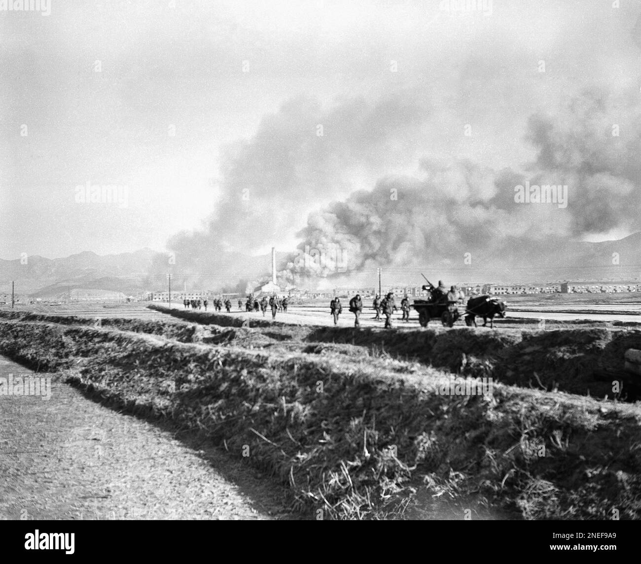 Using ox-drawn carts to carry their machine guns and equipment, men of ...