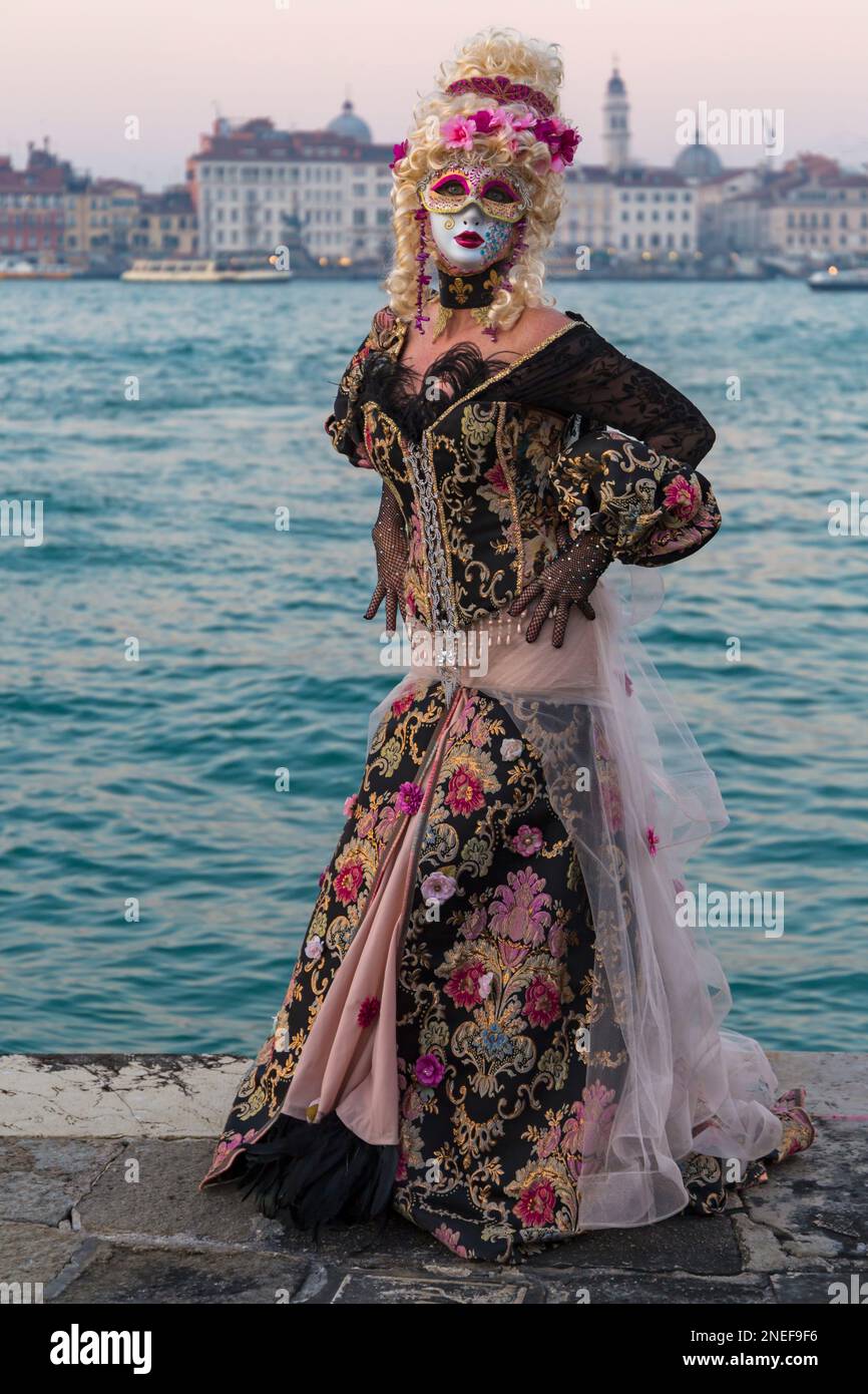 Carnival goer dressed in splendid costume and mask during Venice ...