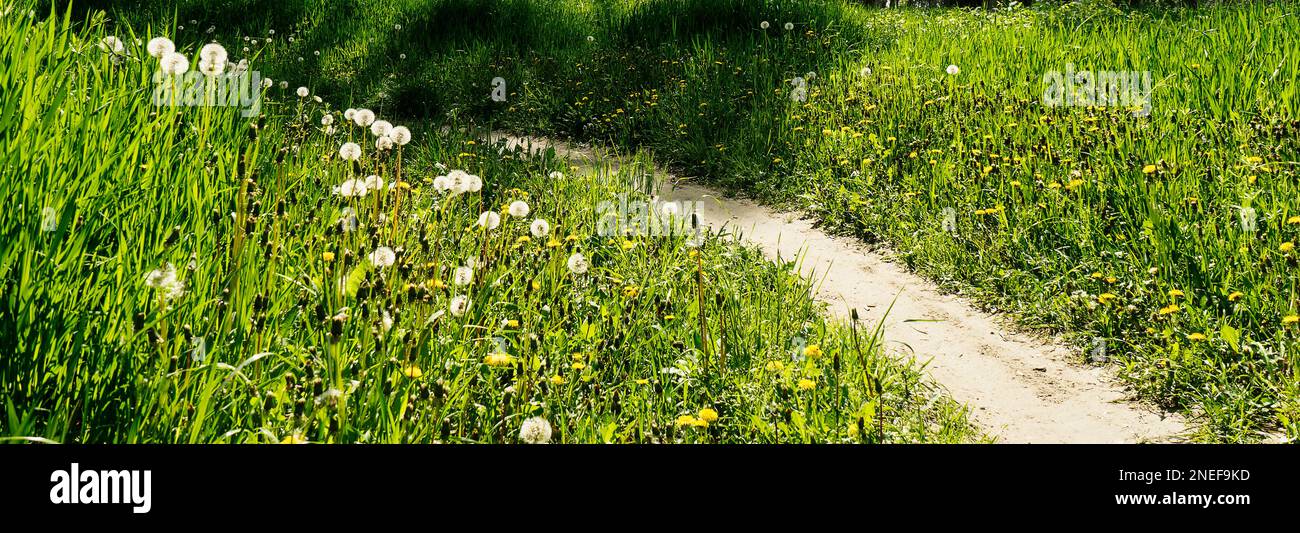 pathway in the fields Stock Photo - Alamy