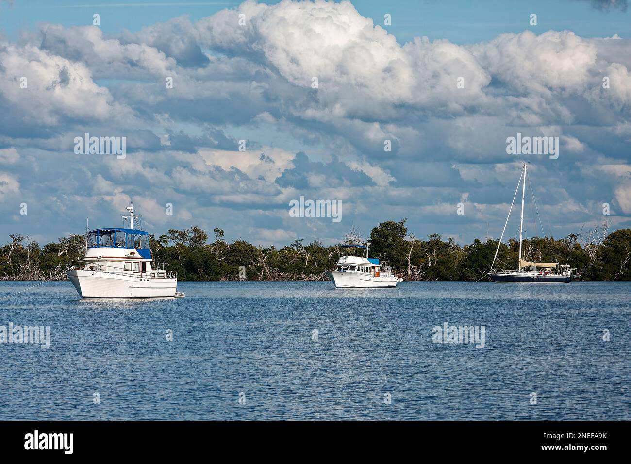 marine scene, 3 boats anchored, 2 motorboats, 1 sailboat, blue water ...