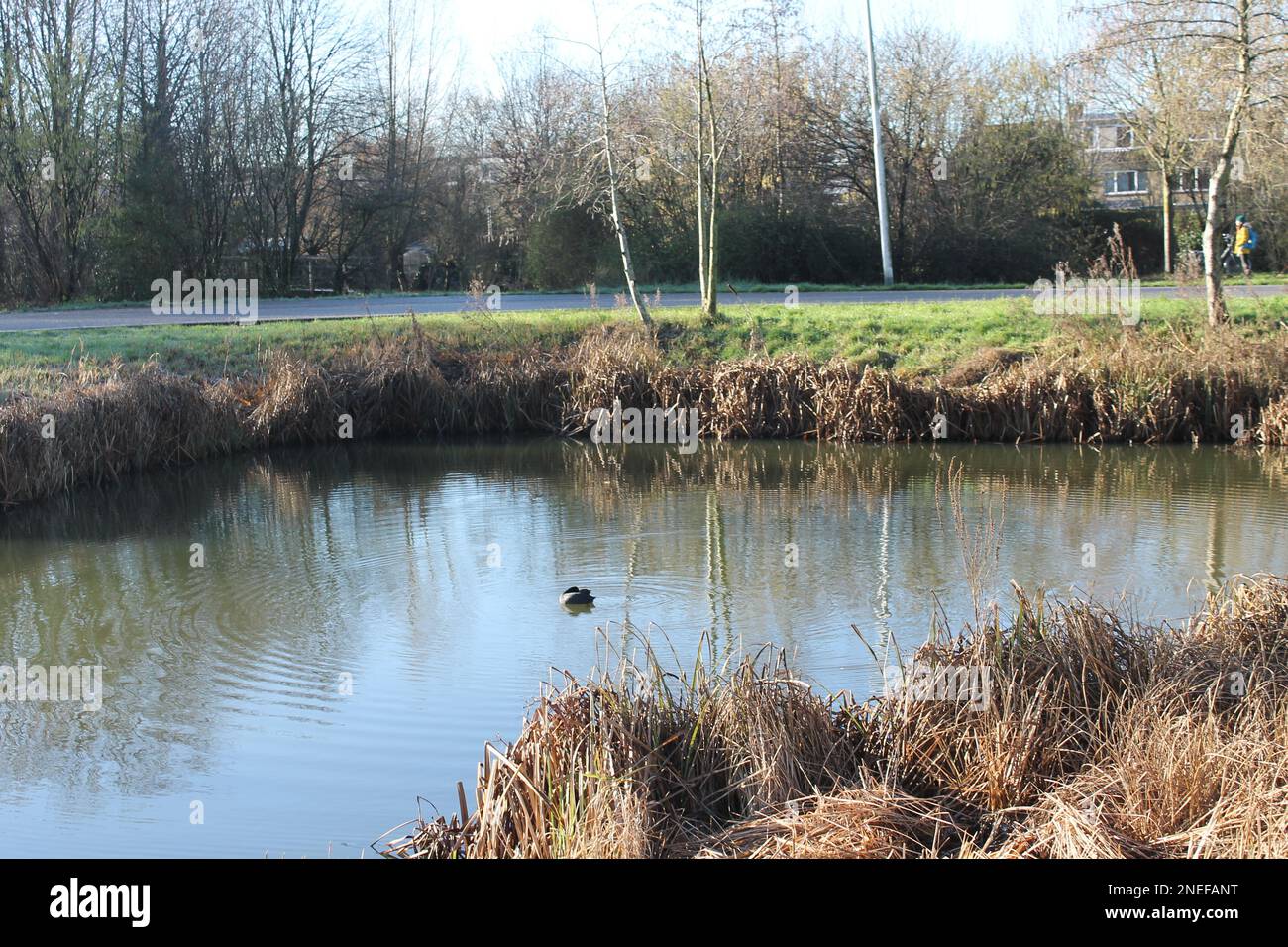 Bathing in the sun hi-res stock photography and images - Alamy
