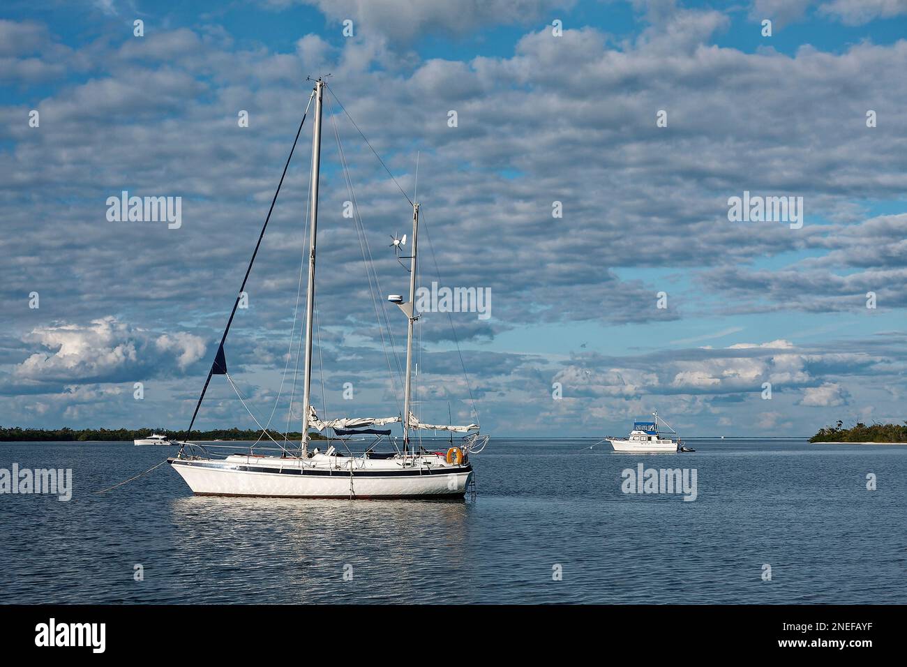 anchorage, 3 boats, 2 motorboats, sailboat, shoreline of green ...