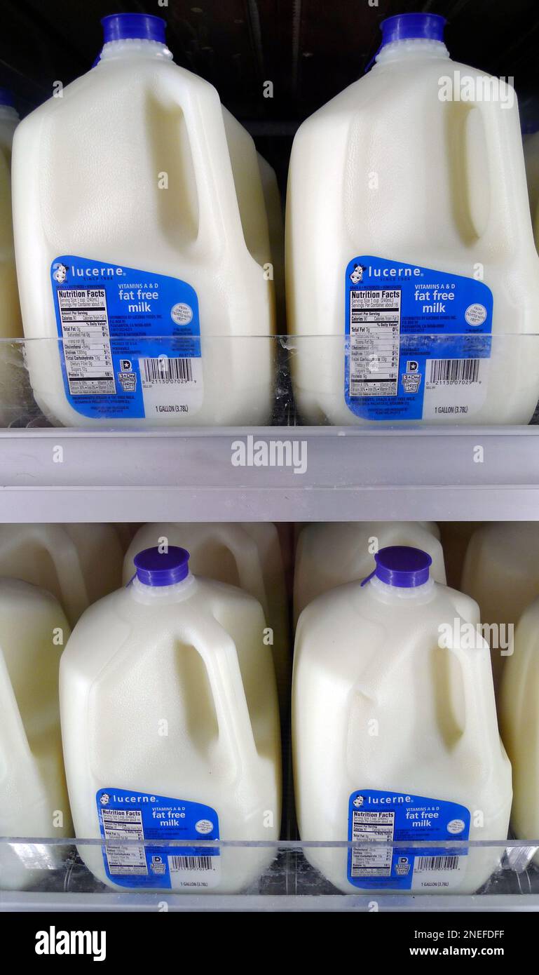 Gallons of fat free milk fill a refrigerated display at a grocery store ...