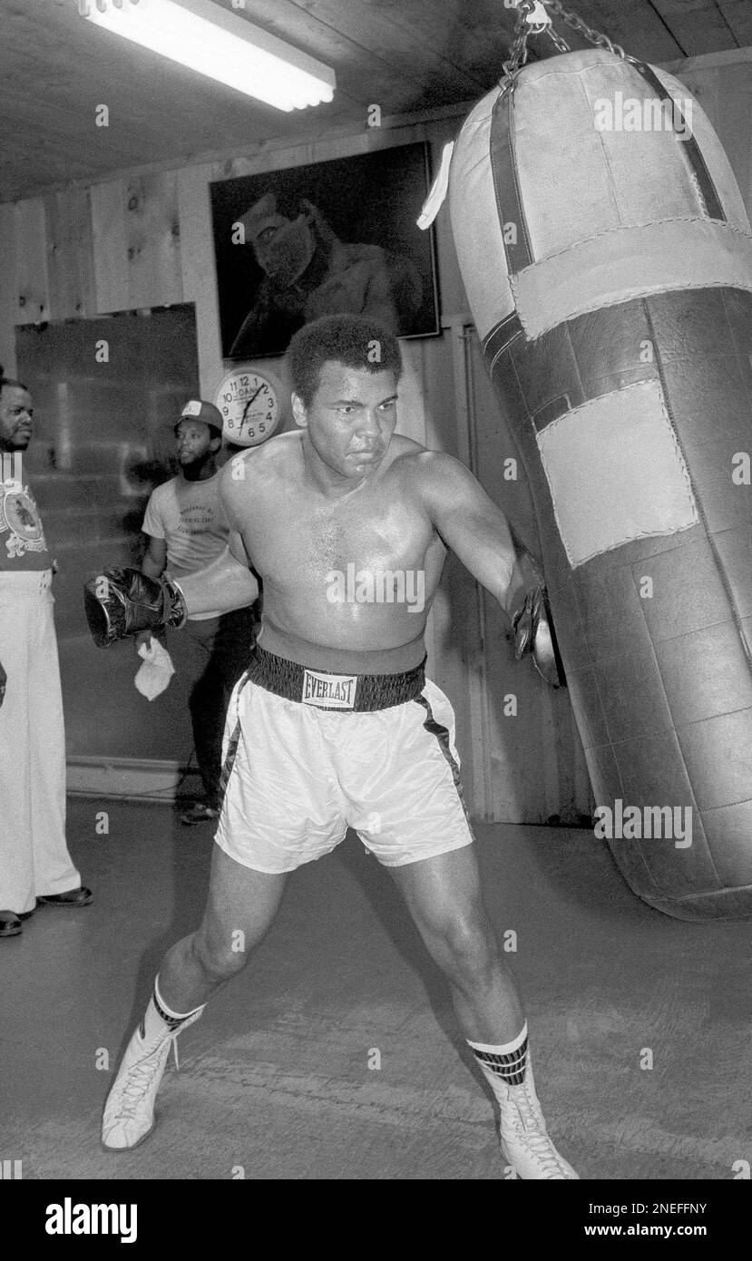 Muhammad Ali trains at his Deer Lake, Pa. retreat for his upcoming ...