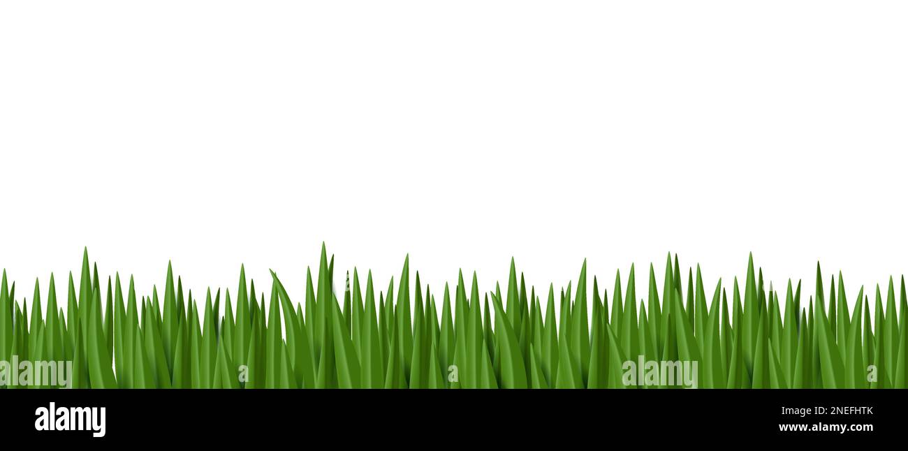 Long lawn grass Stock Vector Images - Alamy