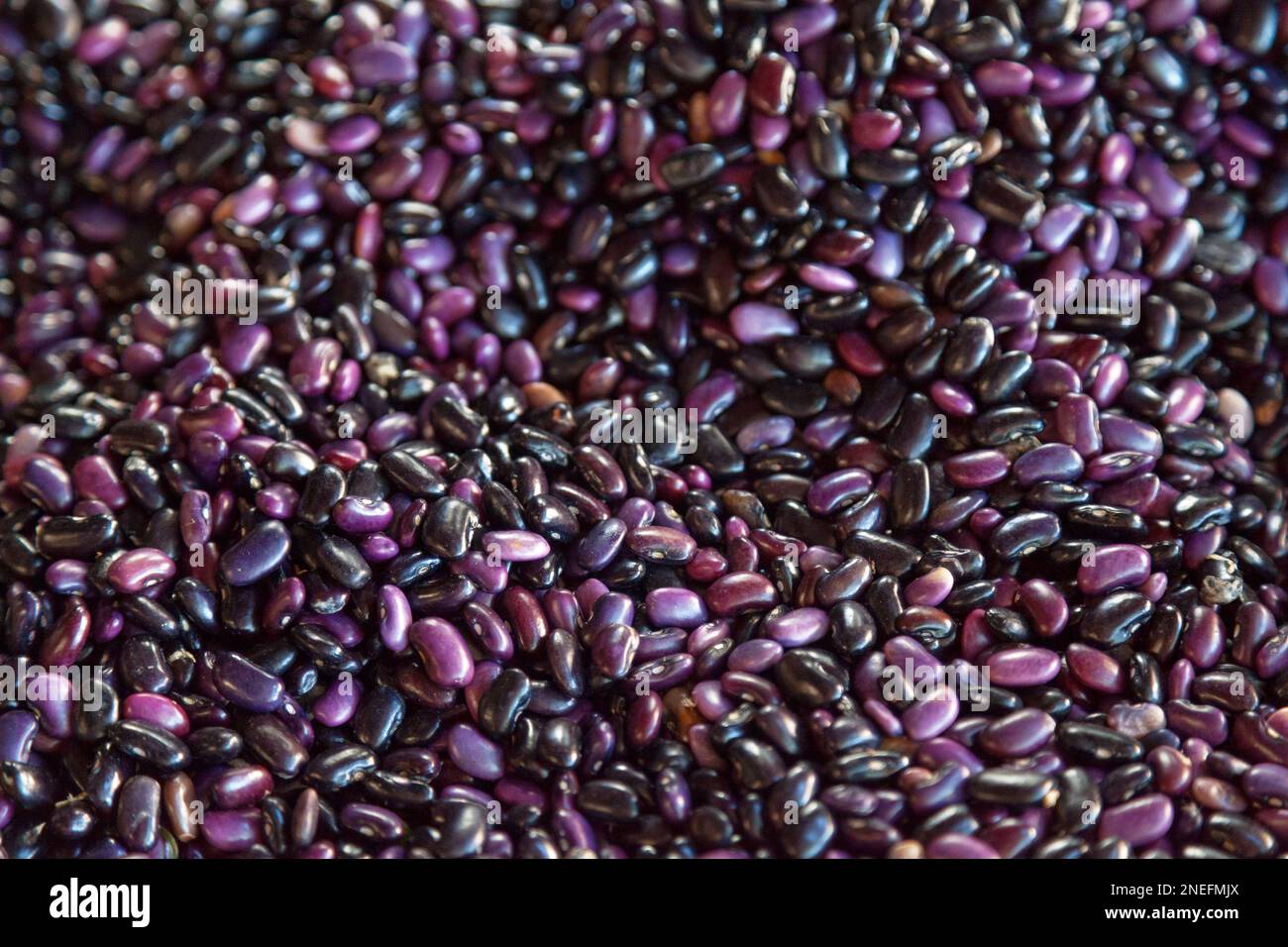 Full frame close-up on a stack of black beans on a market stall Stock ...