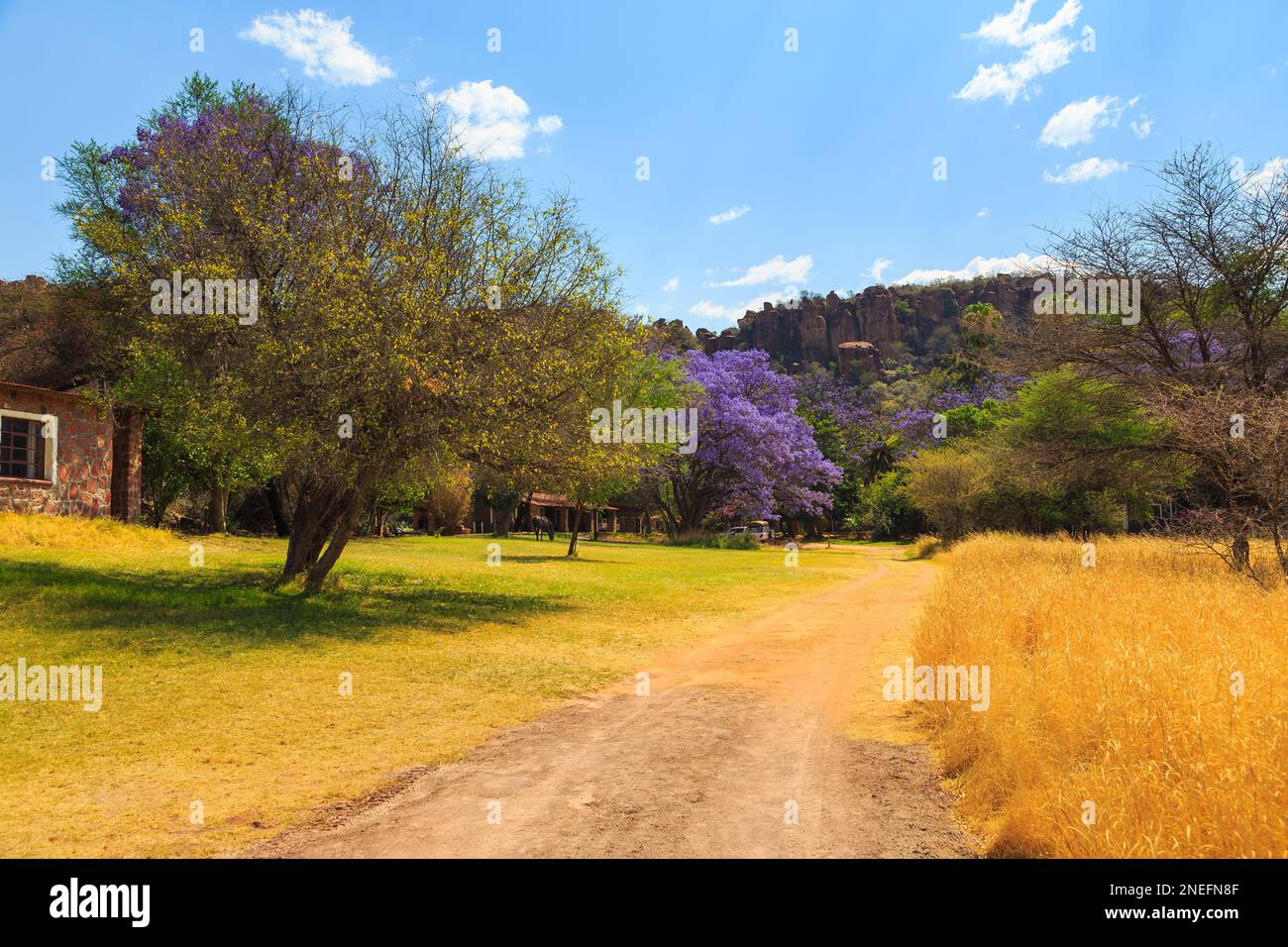 Andersson Trail in Waterberg Plateau National Park, Kalahari ...