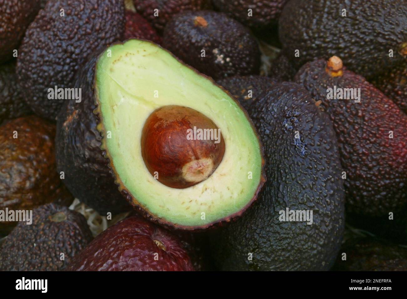 Close-up on a stack of avocados on a market stall with one cut in half ...