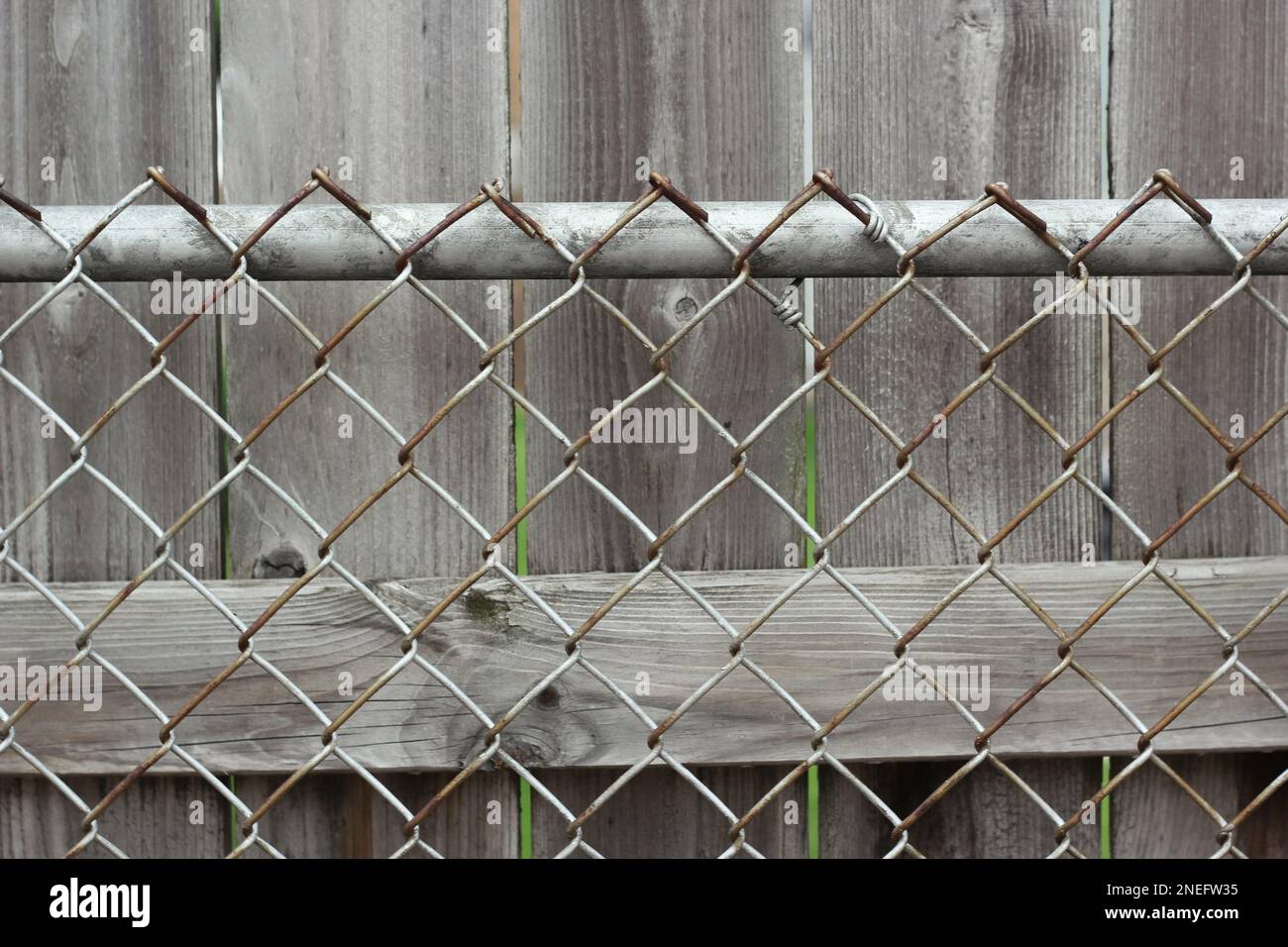 Typical common chain link fence running along a backyard fence Stock ...