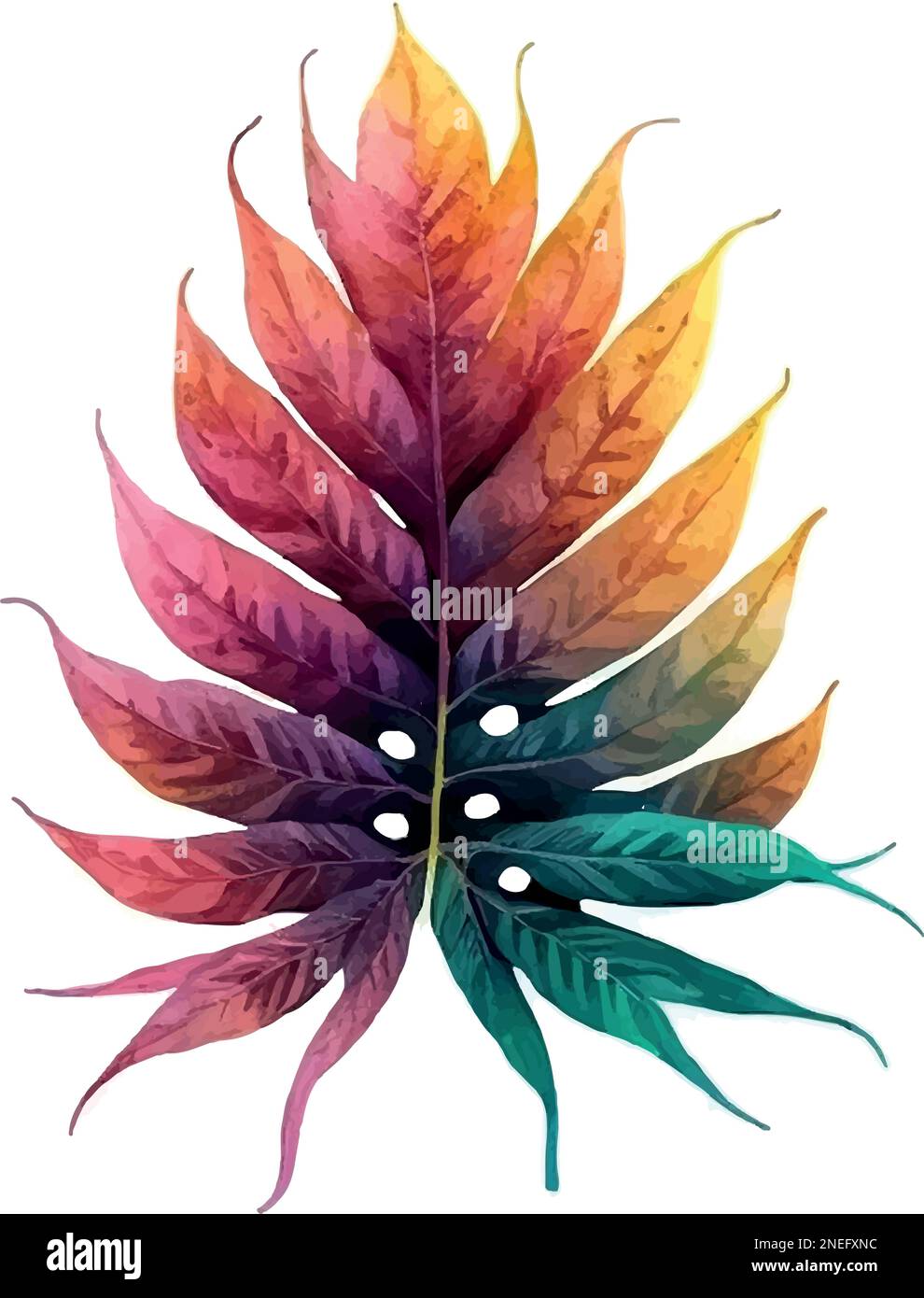 vector tropical leaf, monstera. watercolor illustration of an exotic ...