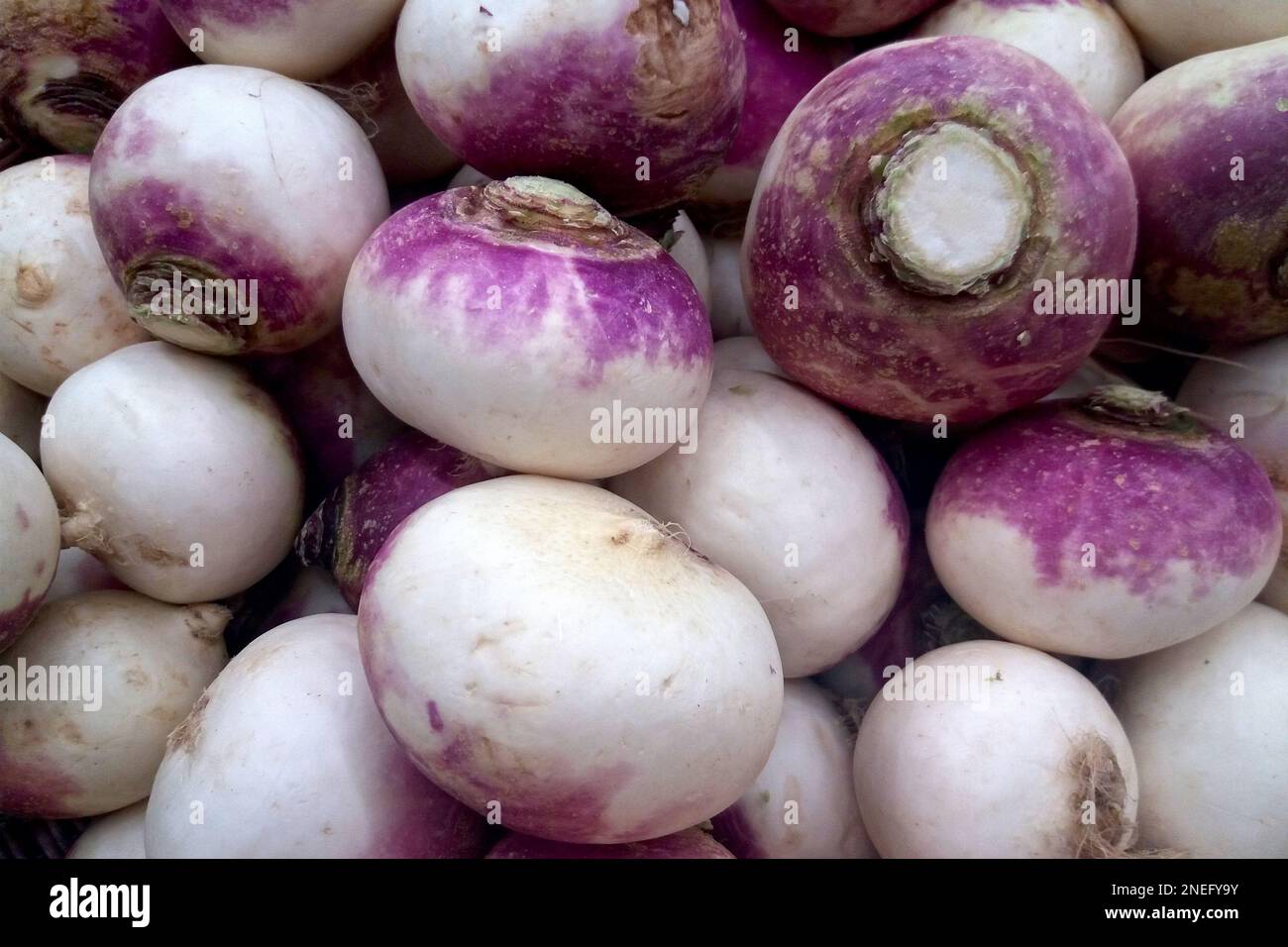 Turnips for sale at market hi-res stock photography and images - Alamy
