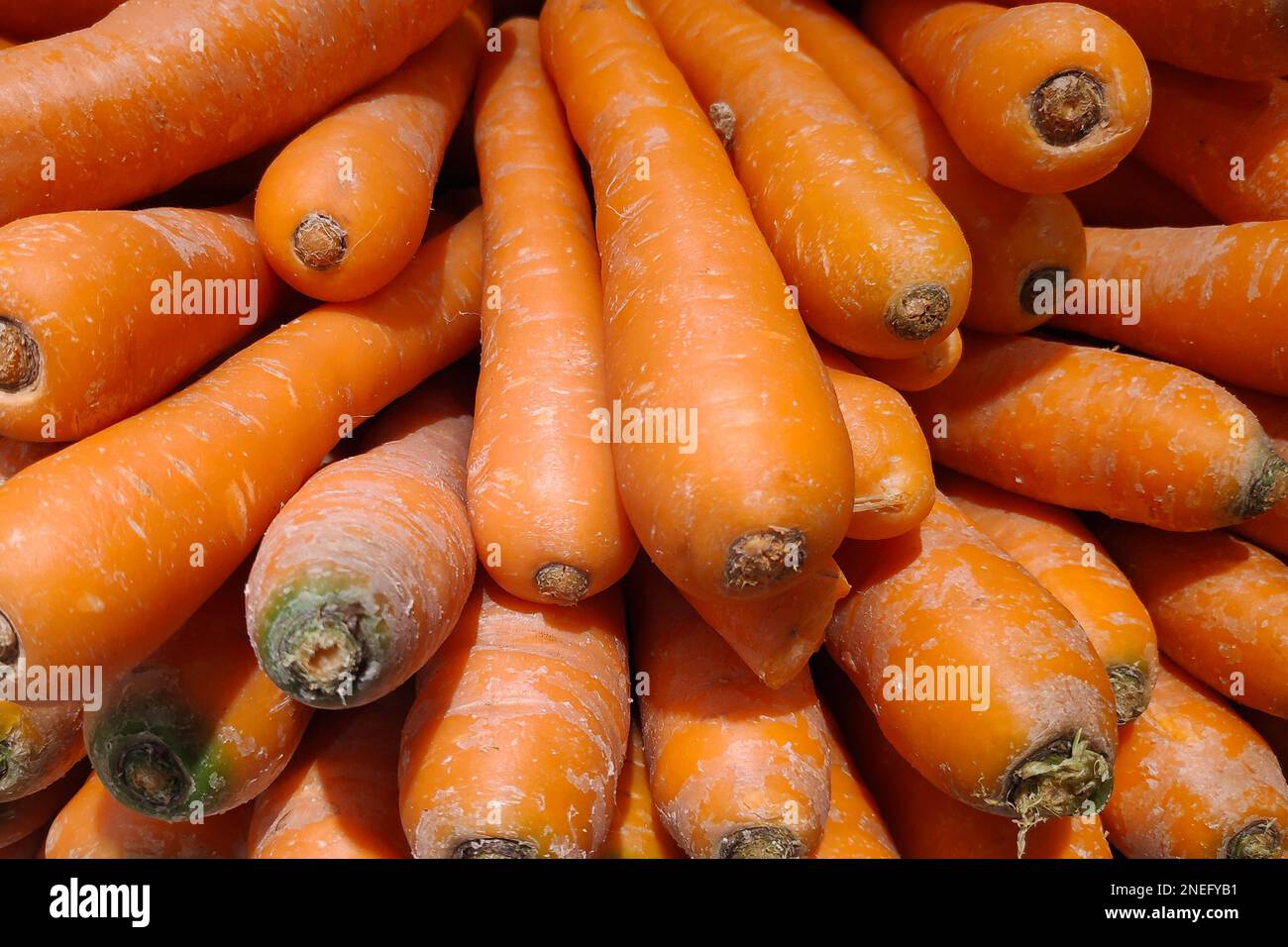 Carrots stack hi-res stock photography and images - Alamy
