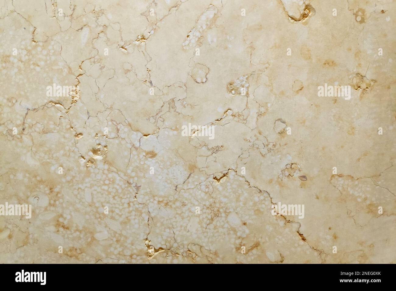 Limestone flooring hi-res stock photography and images - Alamy