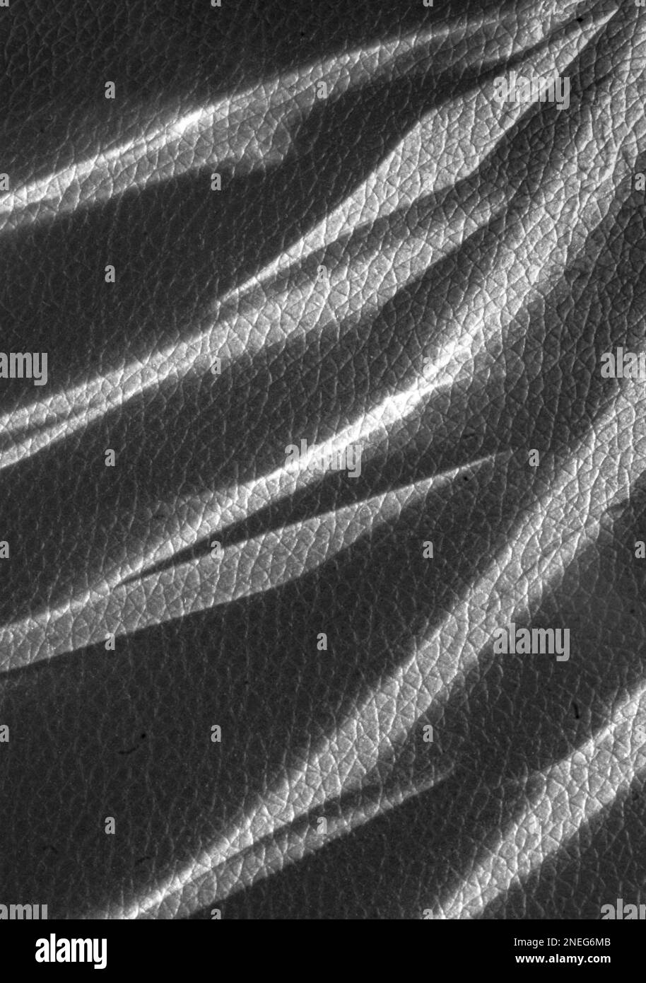 Background texture is embossed leather or leatherette with shadow ...