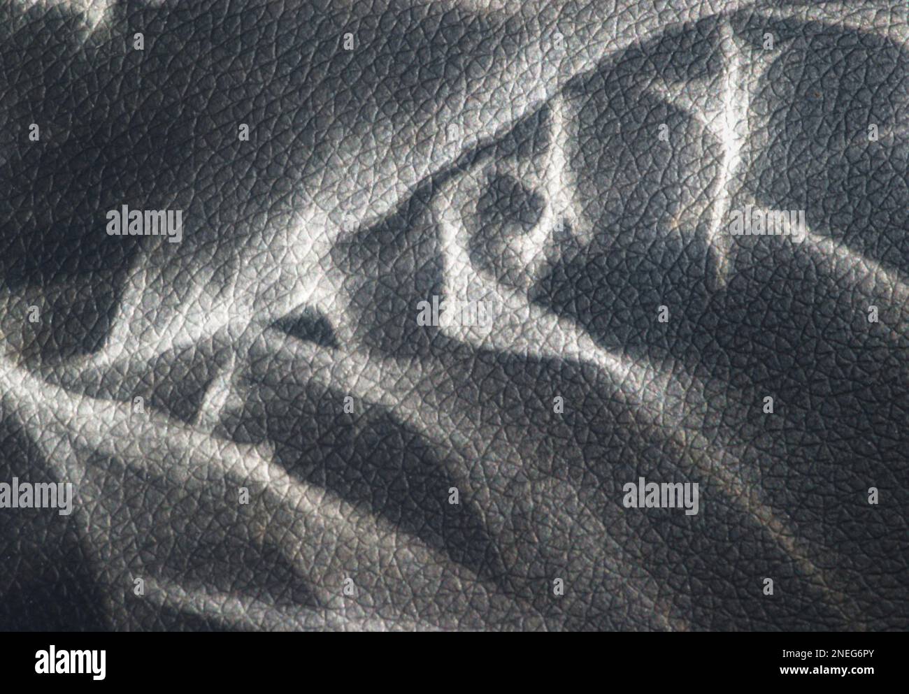 Background texture is embossed leather or leatherette with shadow ...