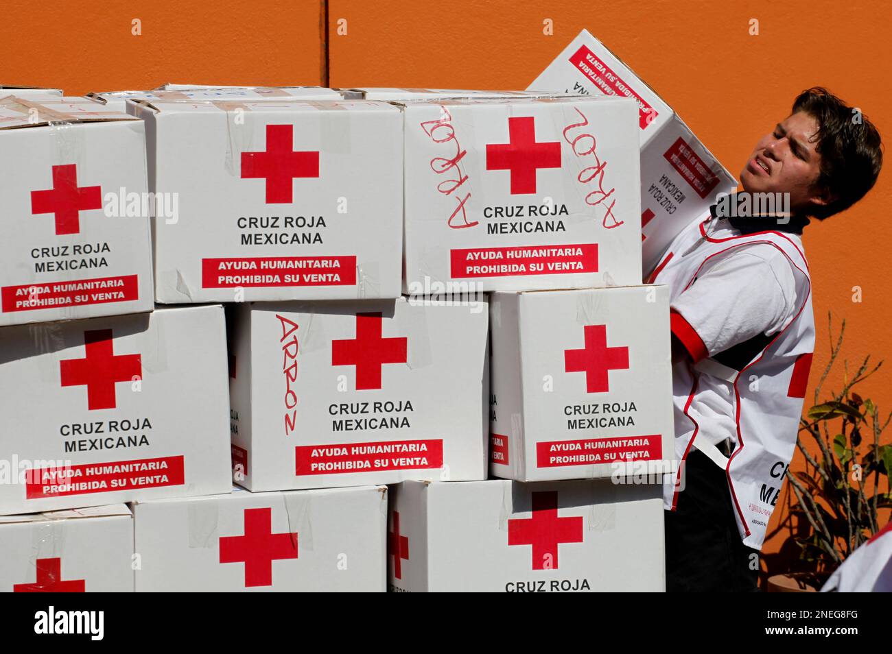 A Mexican Red Cross worker loads humanitarian aid leaving for Haiti at ...