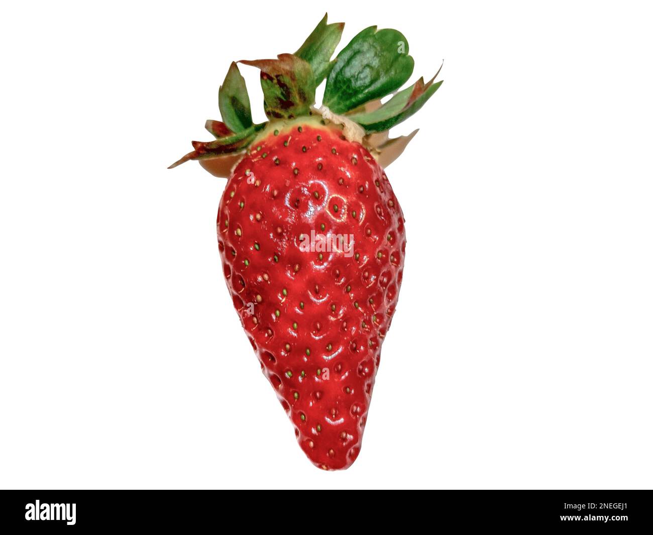 strawberry isolated on white background Stock Photo - Alamy