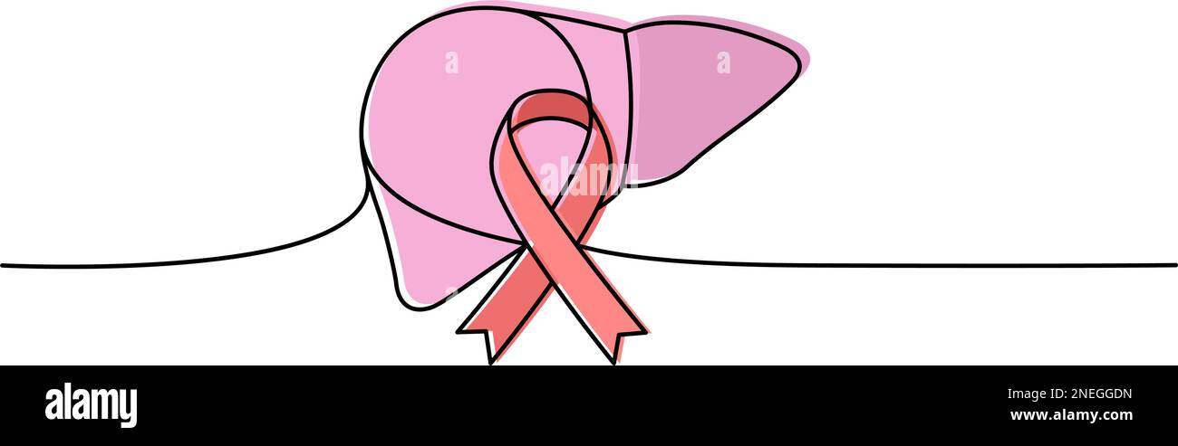 Human liver with ribbon one line colored continuous drawing. Cancer ...