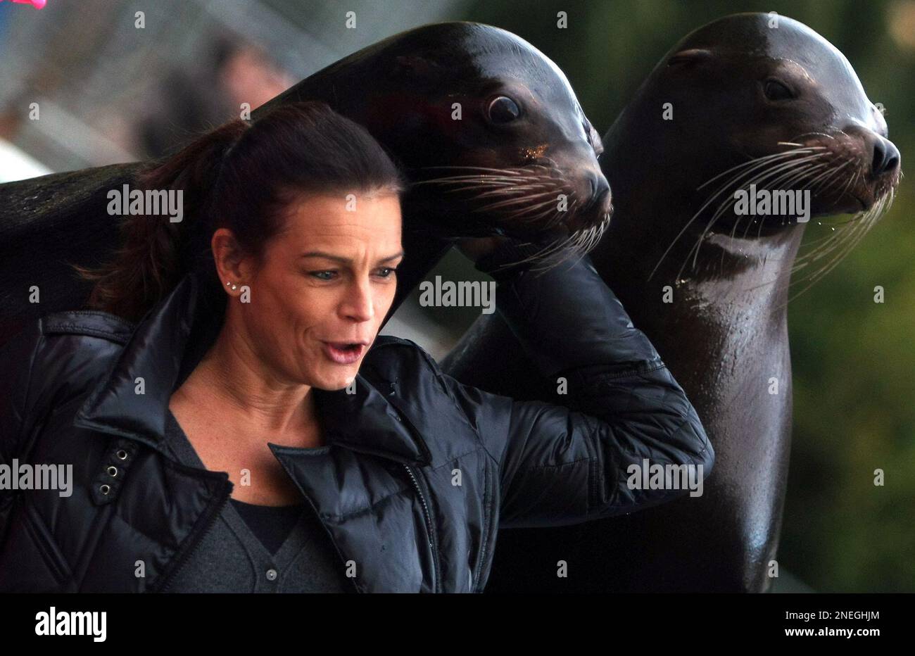 Princess Stephanie of Monaco poses with seals as she presents the 34th ...